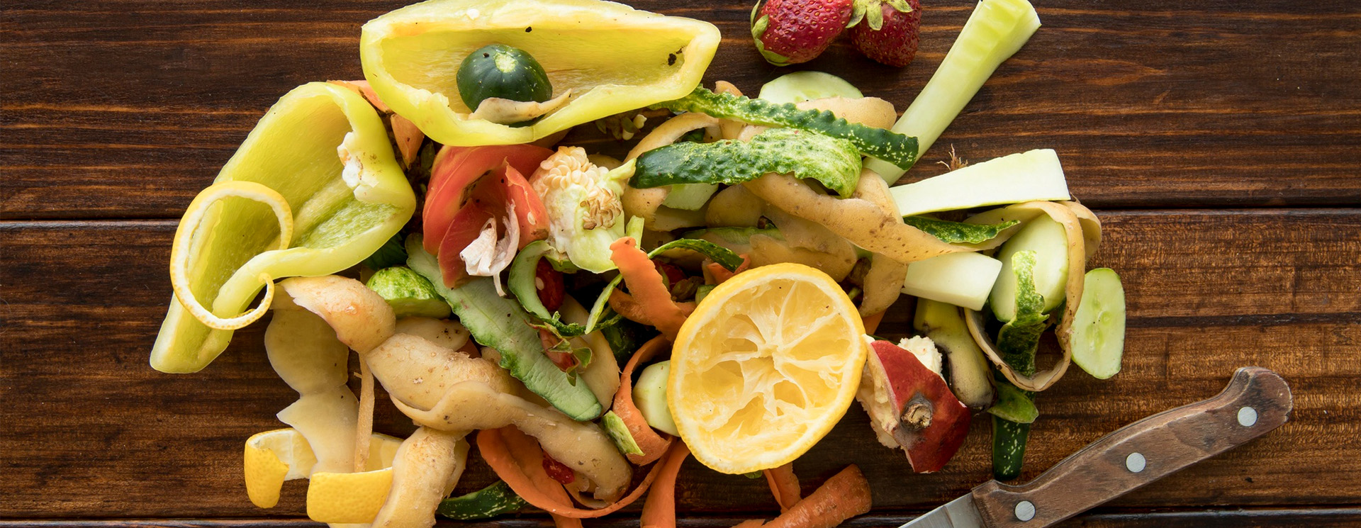 Les réponses à vos questions sur les biodéchets - Cyclad